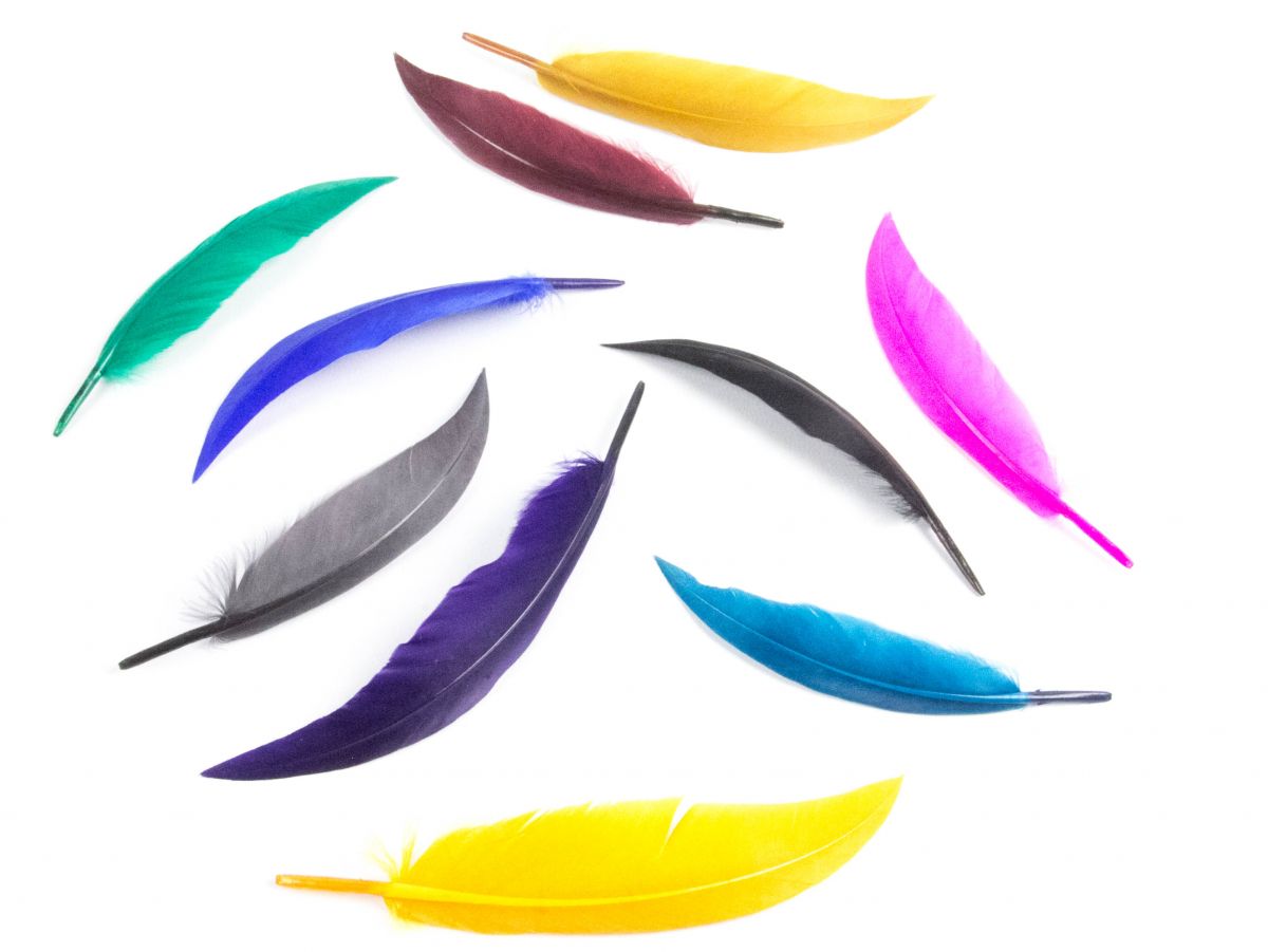 Dyed Goose Swords (Packs of 10)