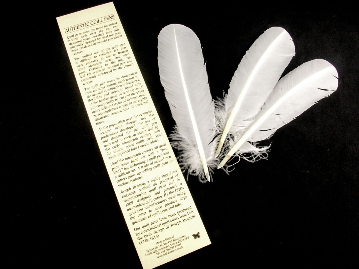 Authentic Handcut Quill Feather Pens Gift (set of 3) historical ...